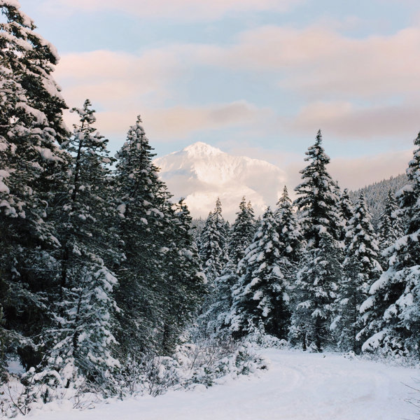 Loon Peak® Hillary Murphy Mt Hood National Forest On Canvas by Hillary Murphy Print | Wayfair